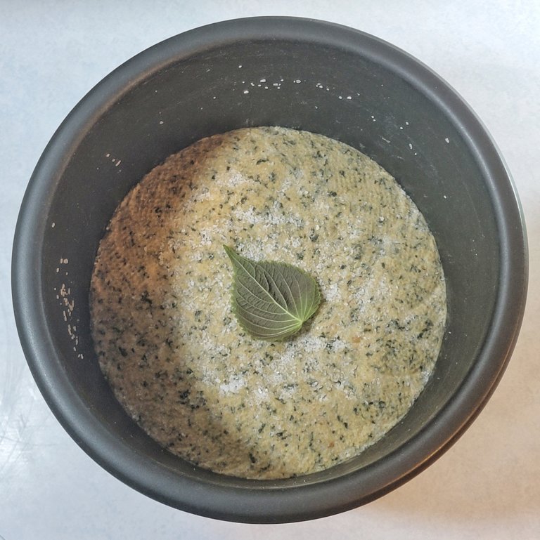 Shiso Miso – Crock of Time