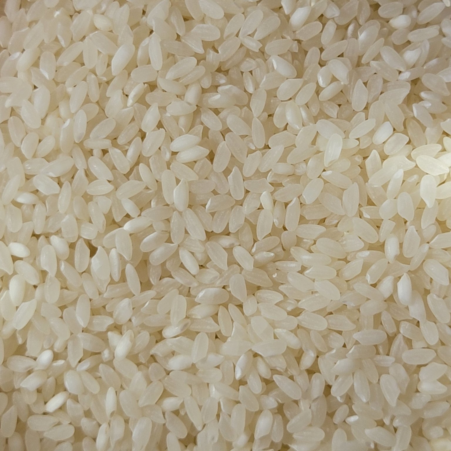 Glutinous Rice Koji – Crock of Time
