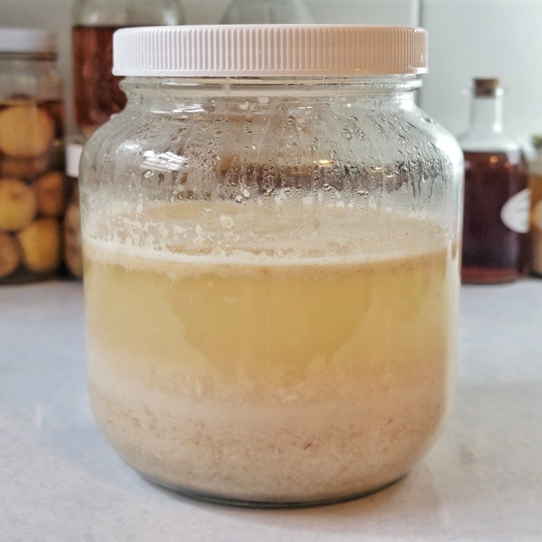 Koji Oat Milk – Crock of Time