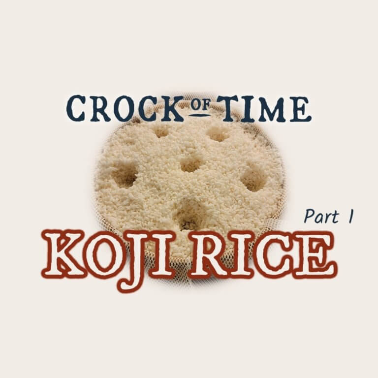 Toasted Rice Koji Treats – Crock of Time